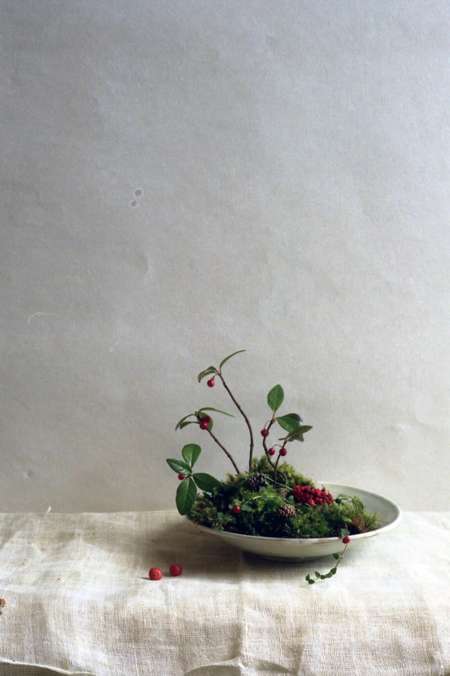 WORK — AMY MERRICK