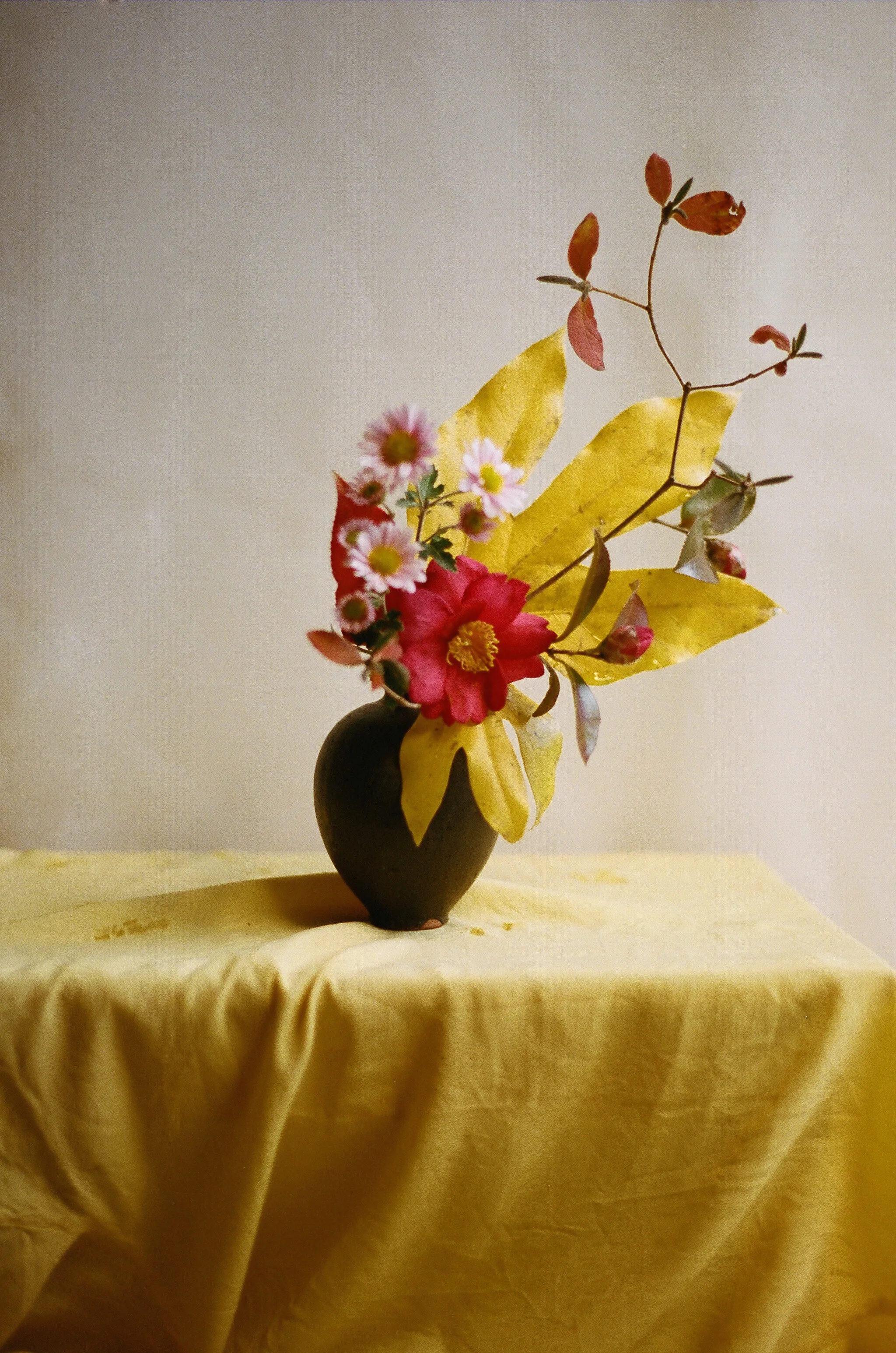 AMY MERRICK