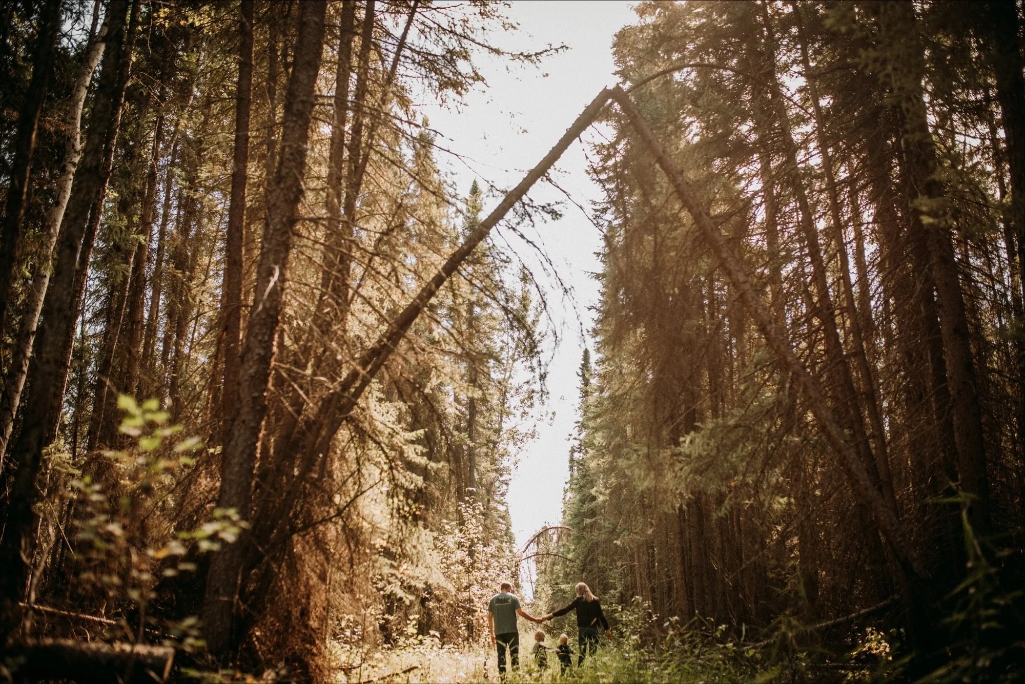 Elk Ridge Resort | Waskesiu Lake Area Hotel & Resort