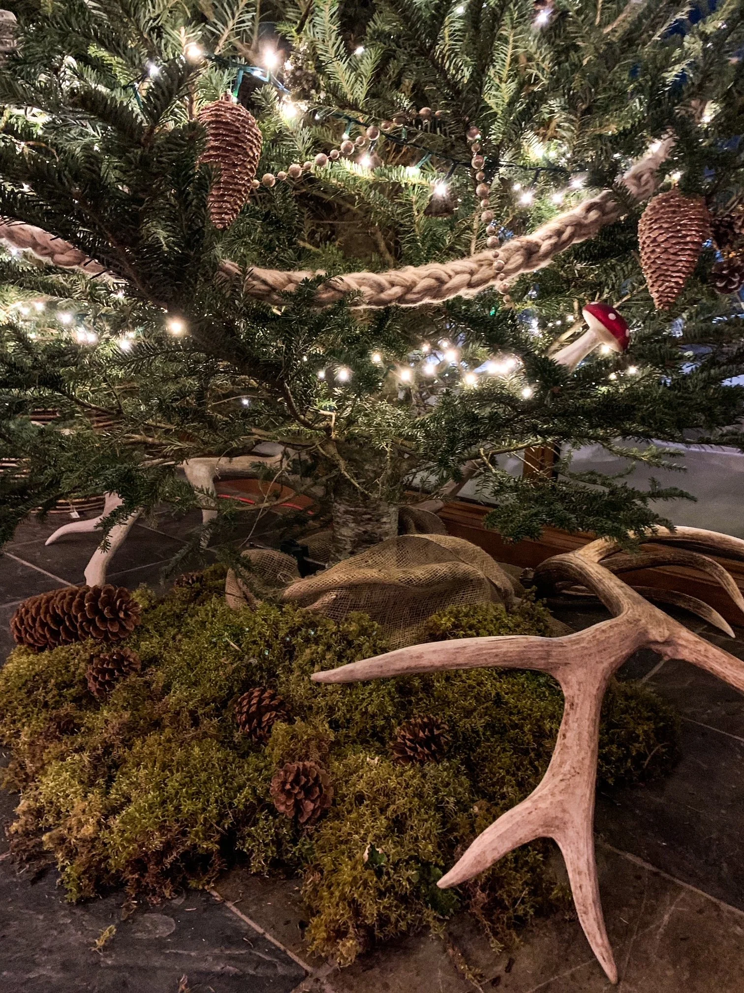 Elk Ridge Resort | Waskesiu Lake Area Hotel & Resort