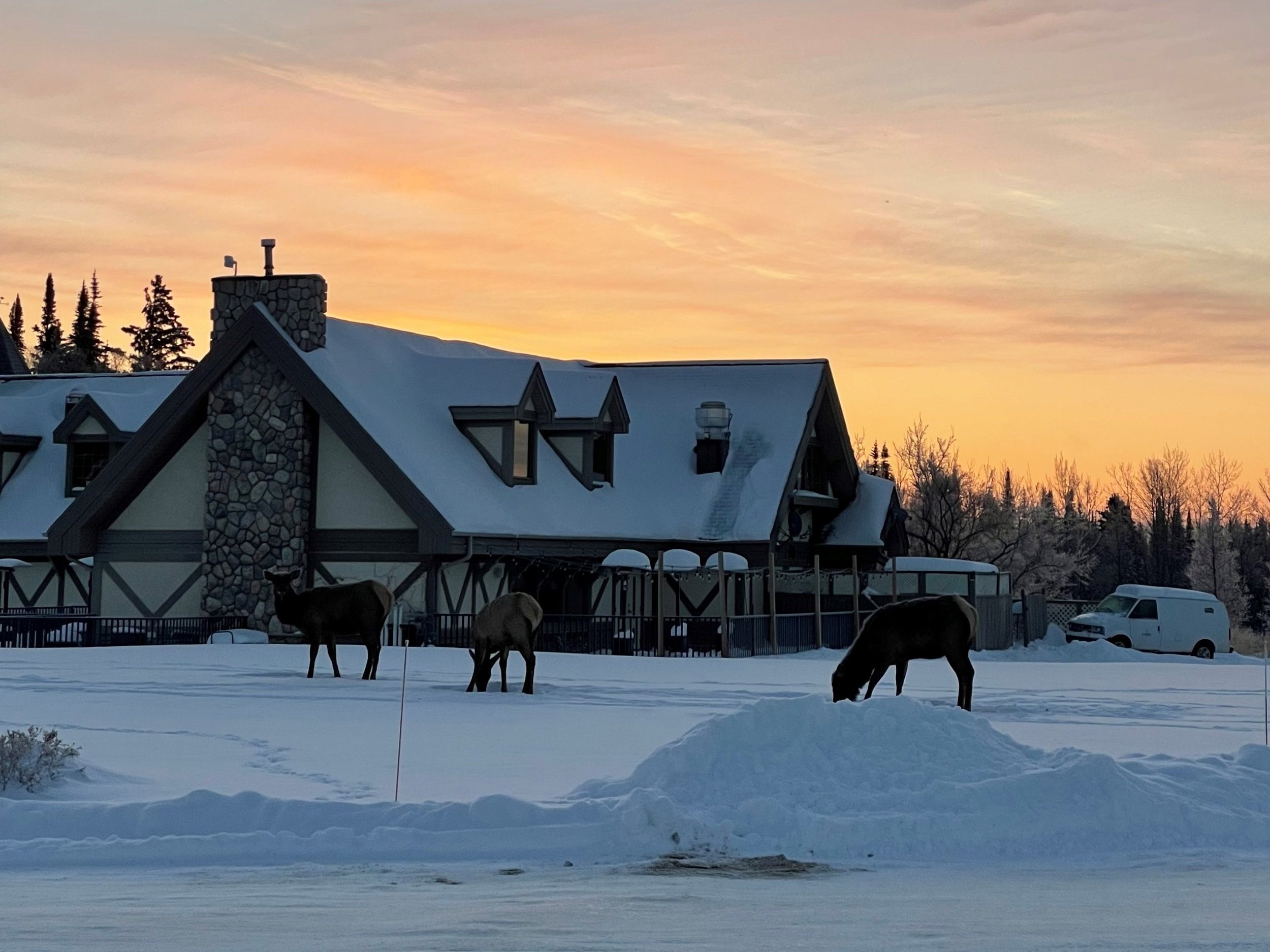 Offers — Elk Ridge Resort | Waskesiu Lake Area Hotel & Resort