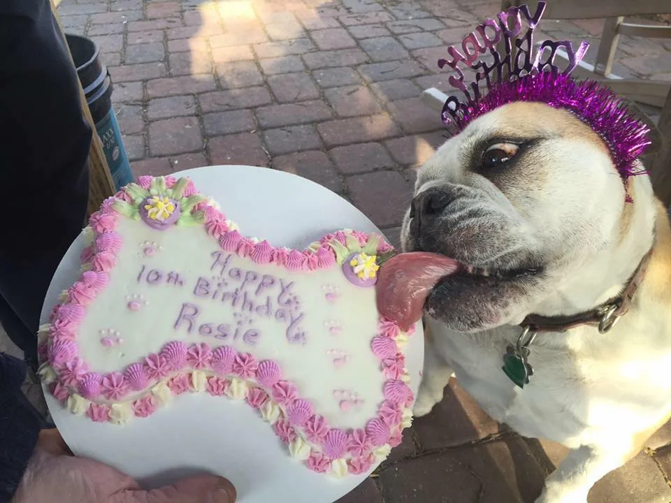 Cakes — The Dining Dog and Friends