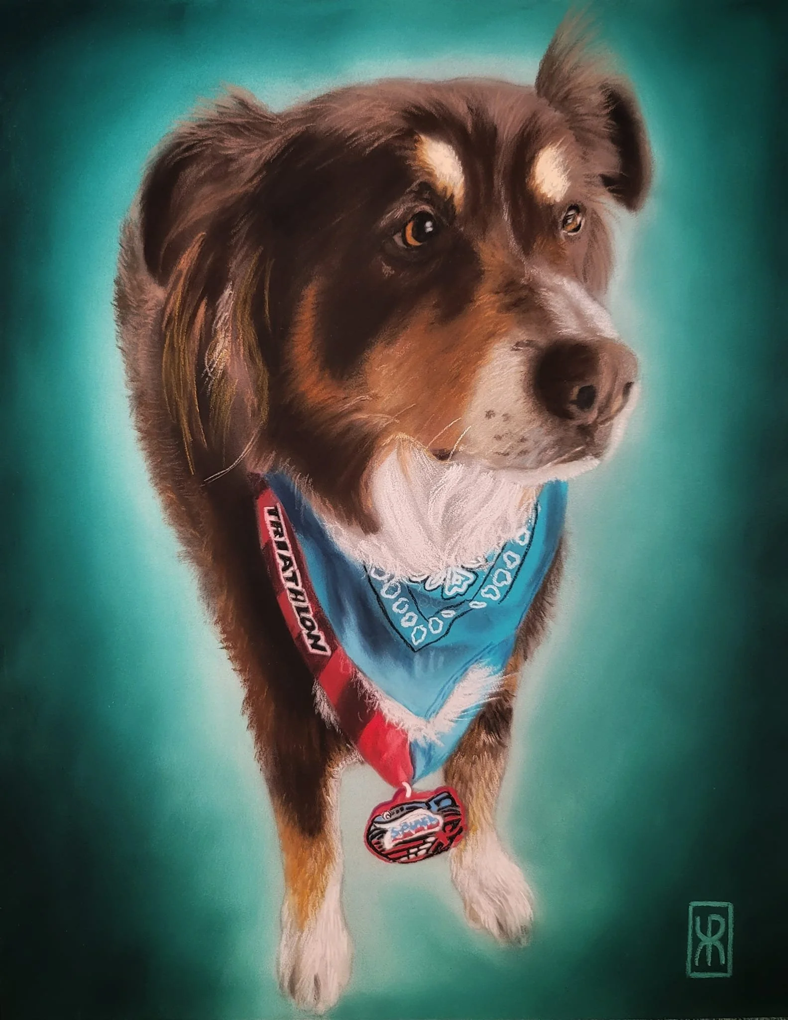 PET PORTRAITS — Katrina Rainey