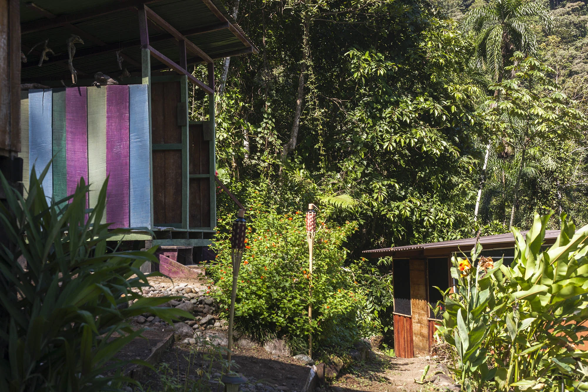 Gallery — Ave Sol River Sanctuary