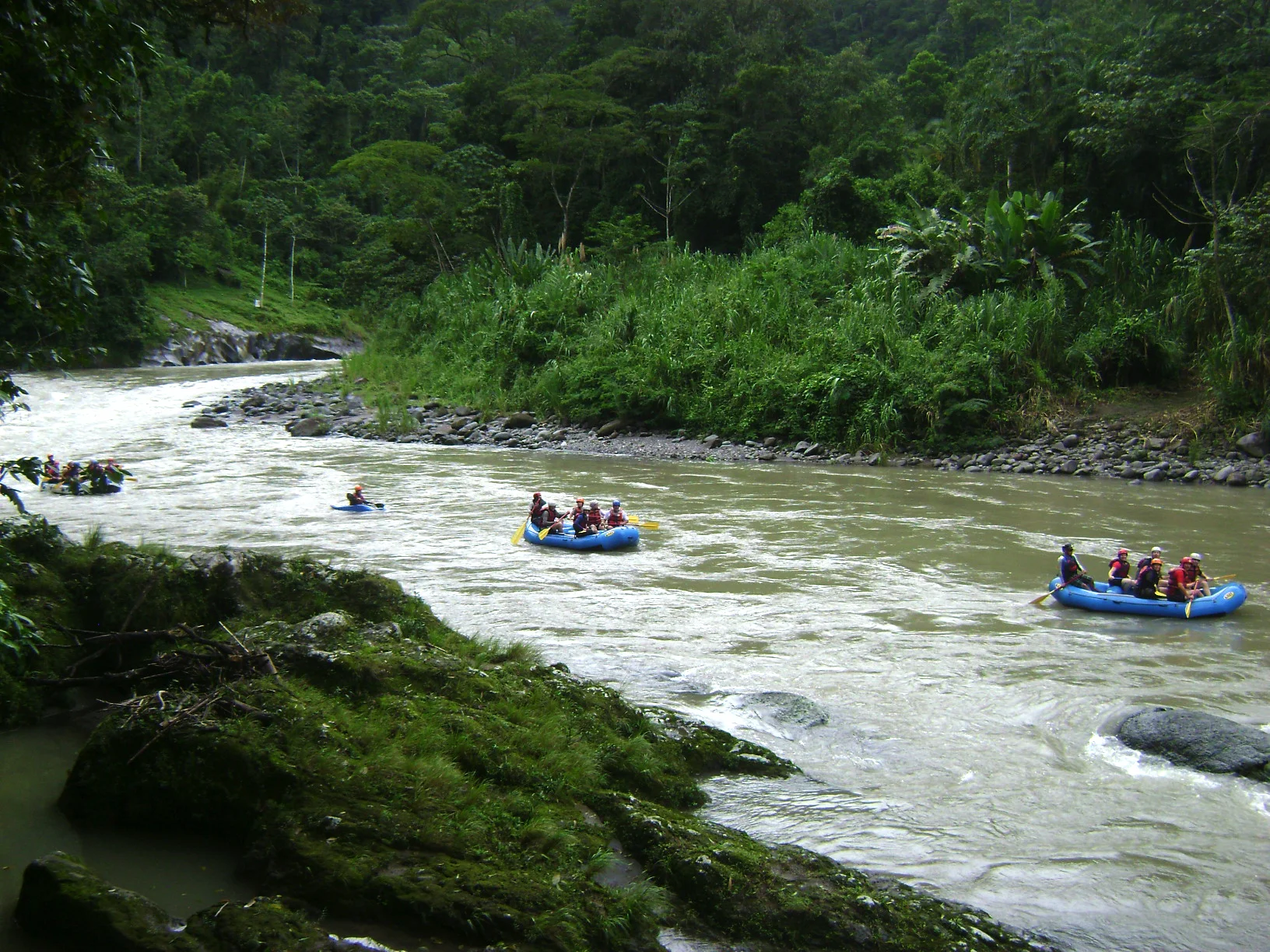 Gallery — Ave Sol River Sanctuary