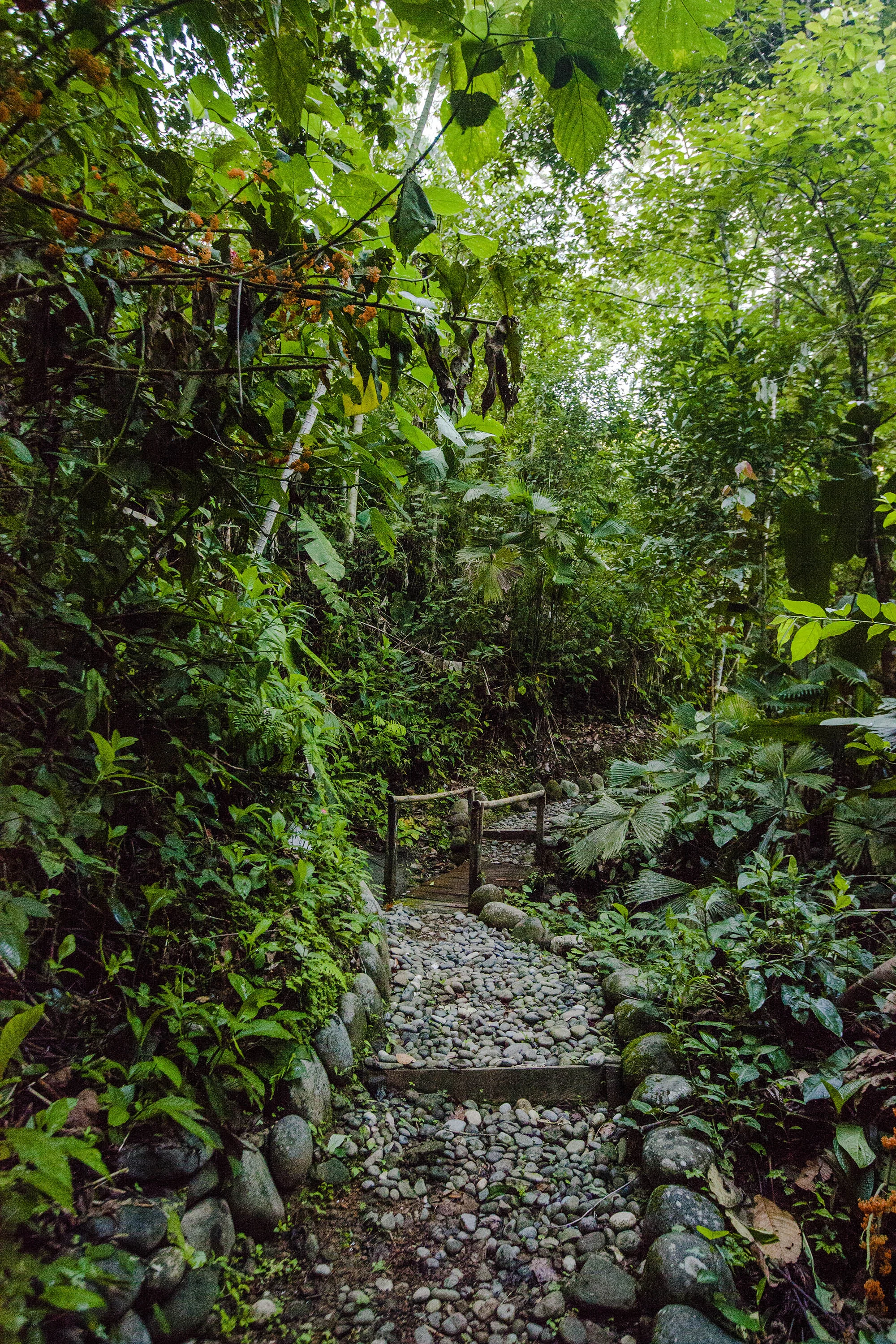 Gallery — Ave Sol River Sanctuary