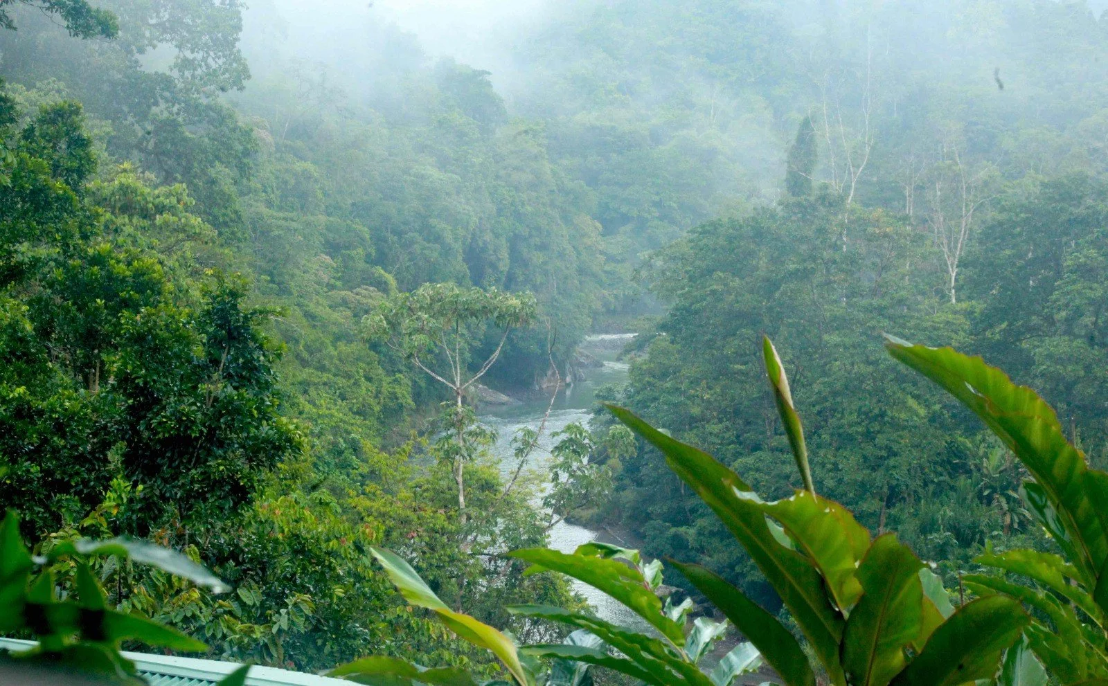 Gallery — Ave Sol River Sanctuary