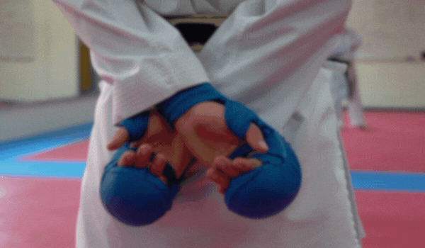 Illinois Shotokan Karate Clubs