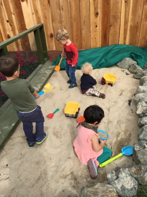 City Sprouts Preschool