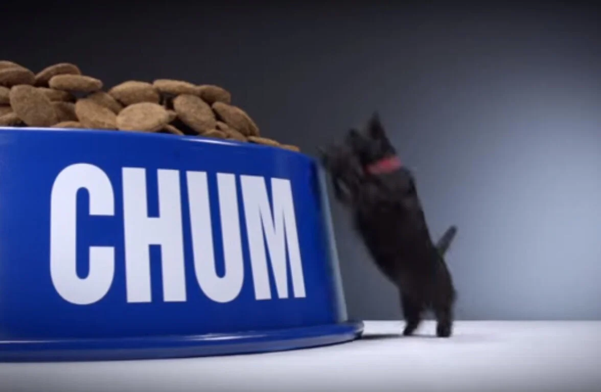 CHUM DOG BOWLS — ONSET ARTS