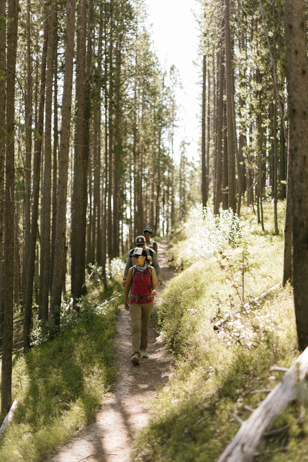 REI Adventures Yellowstone — cass.
