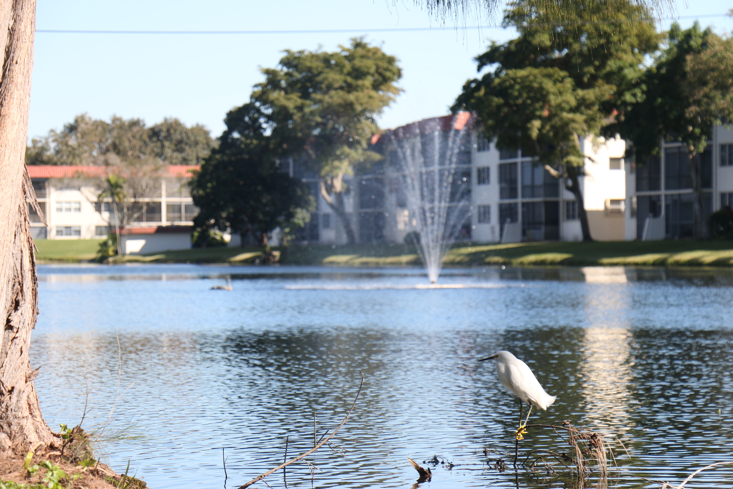 Hollybrook Golf and Tennis Club