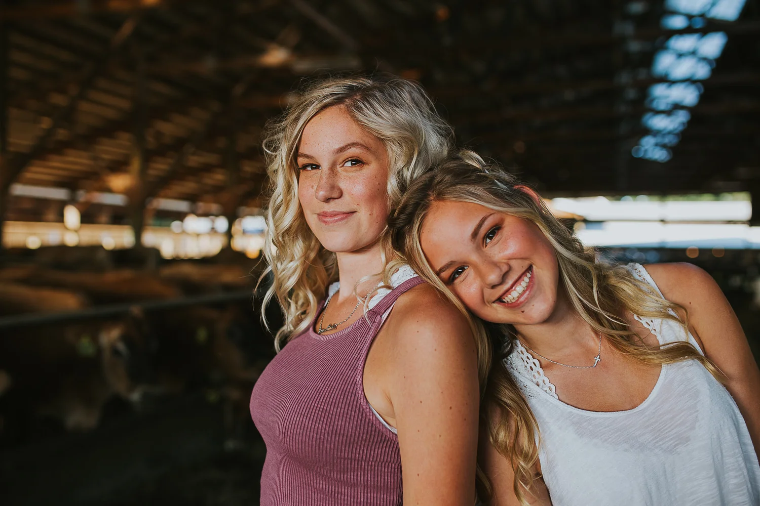 Farmer's Daughter — the Streets of Gold