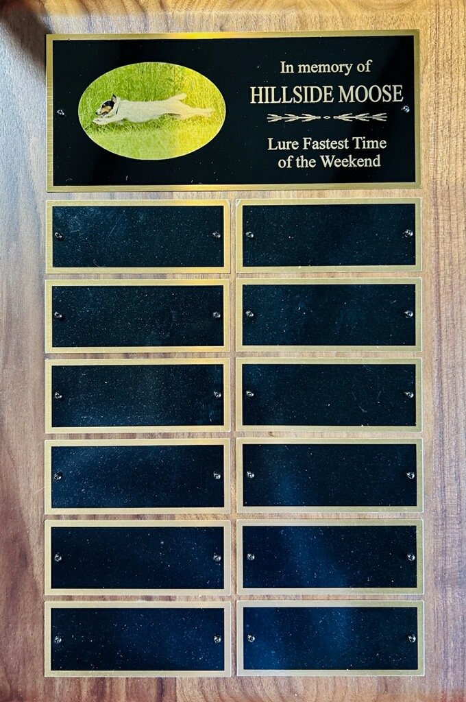 The MOOSE Award — Dogwood JRTC