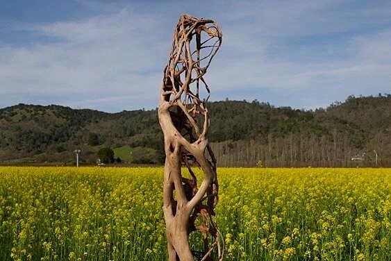 Original Natural Sculptures | Artefact Design & Salvage