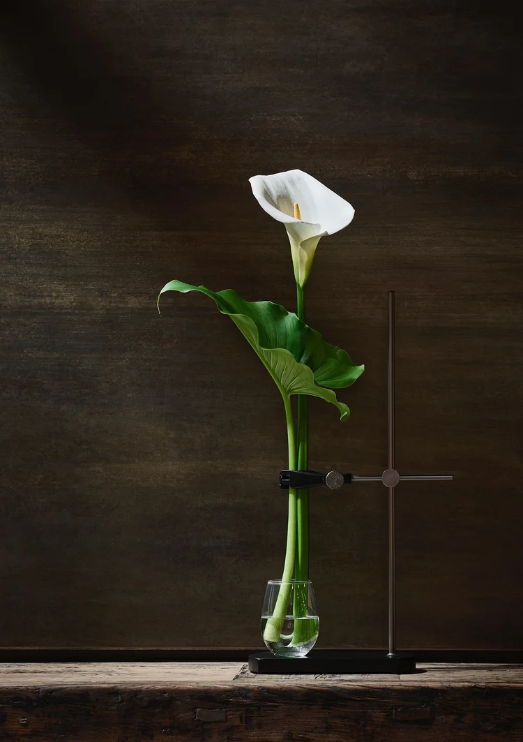 Home Décor & Interior Design Products | Artefact Design & Salvage
