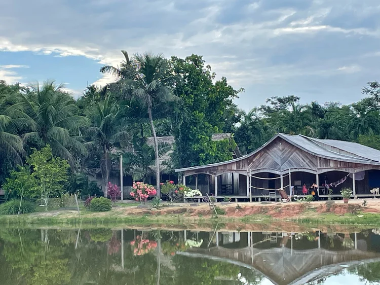Meet the Yawanawa Tribe: Guardians of the Amazon’s Spirit and Medicine ...