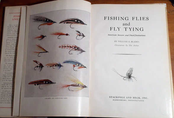 Fly Fishing Flies Illustration