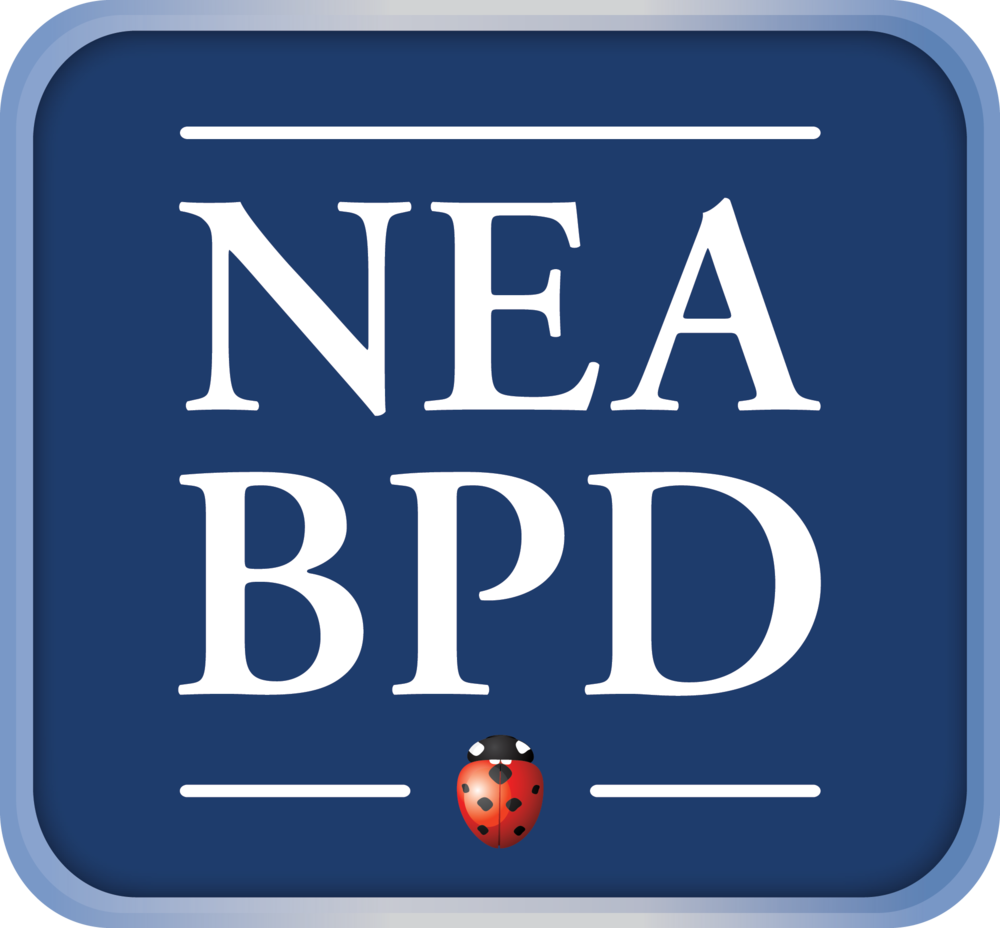 Supporting Students with Borderline Personality Disorder (BPD ...