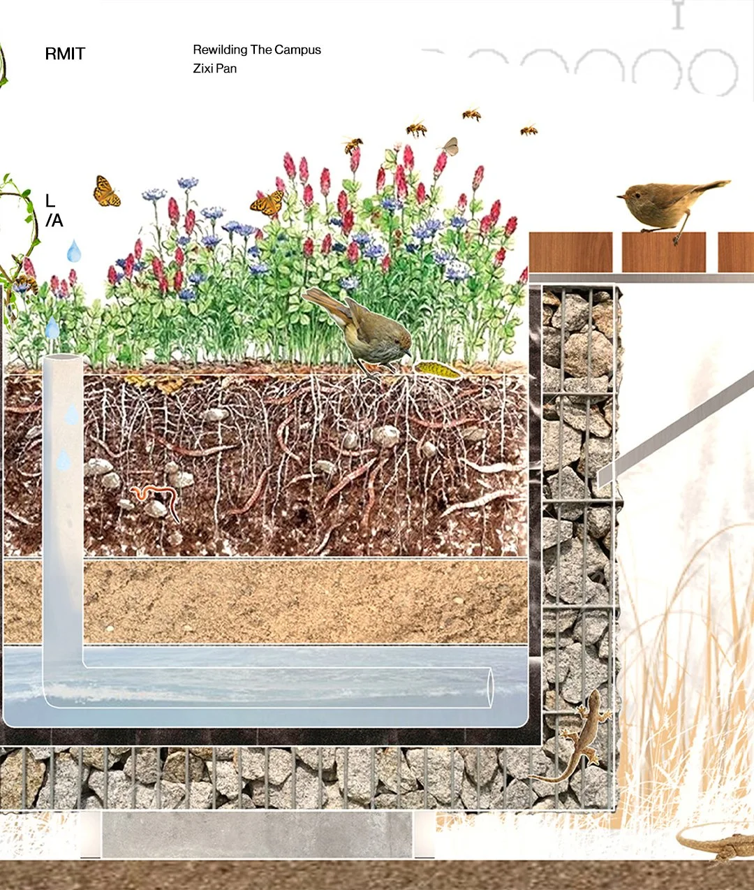 RMIT Landscape Architecture