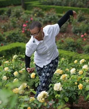 Mushroom School — Corporeal Writing™ - Writing Workshops