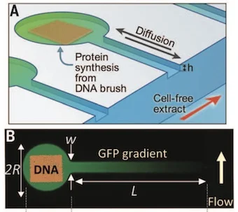Customer Publications — SonoPlot