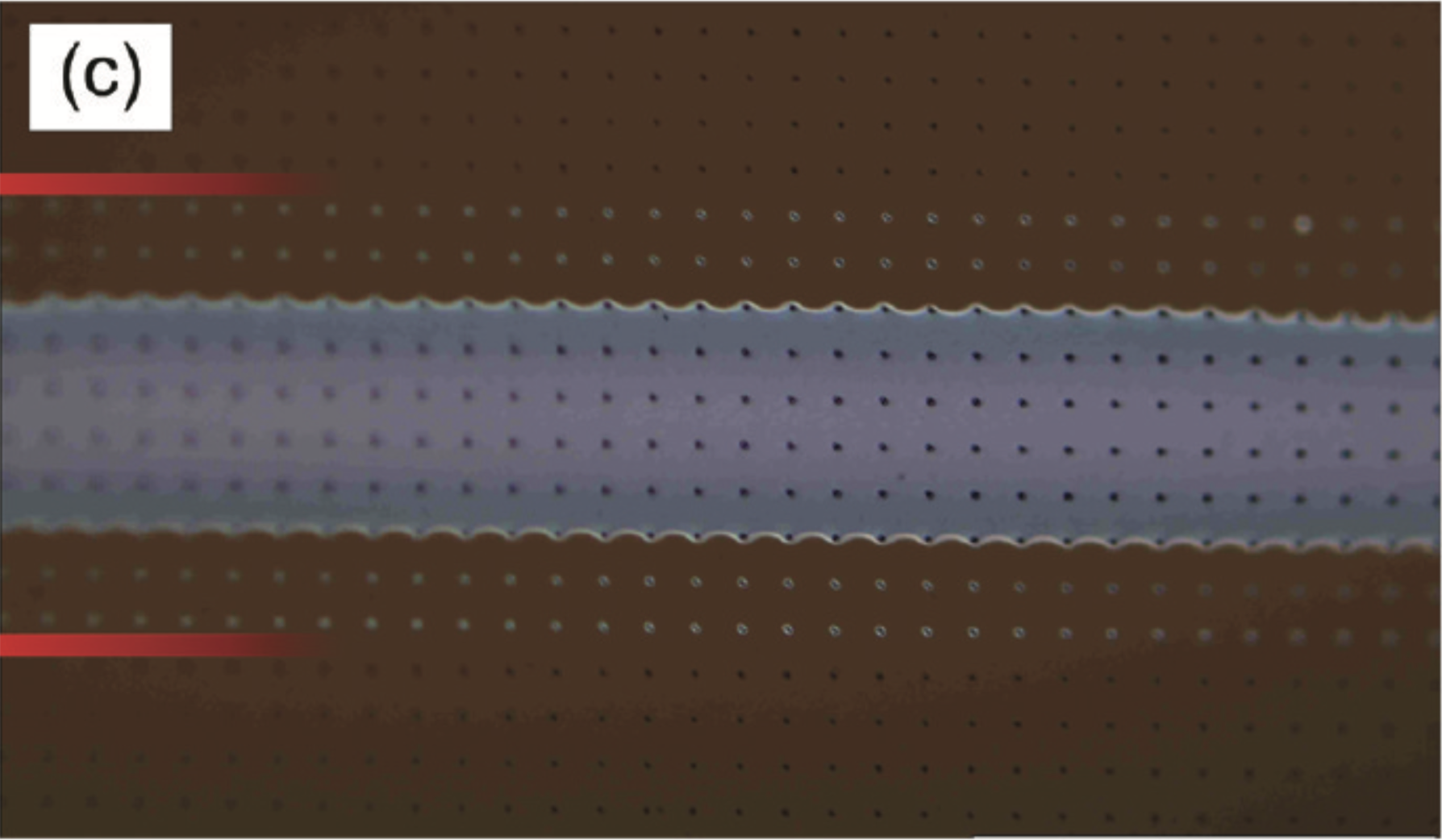 Customer Publications — SonoPlot