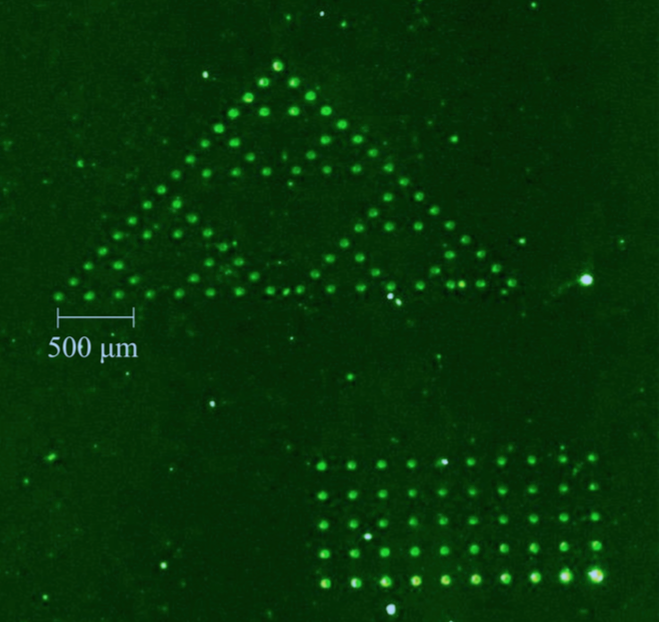 Customer Publications — SonoPlot