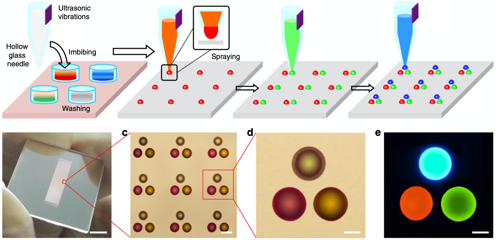 Customer Publications — SonoPlot