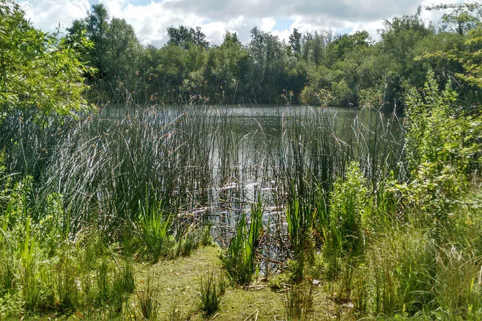 Fishing — Milton Country Park