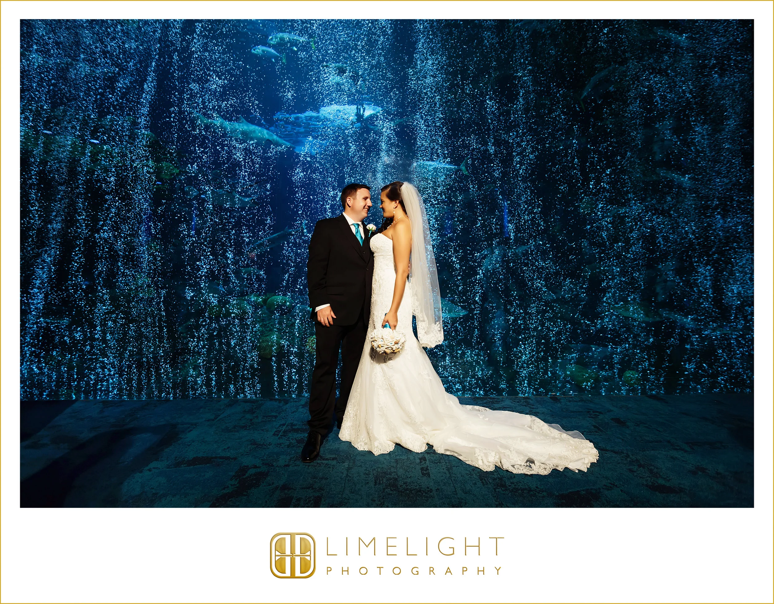 Grace + Matthew Step Into The Limelight | The Florida Aquarium | Tampa ...