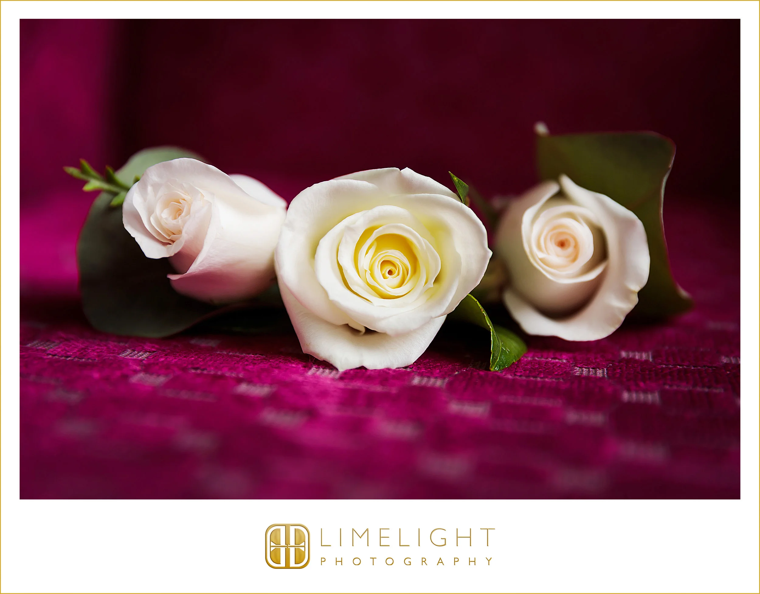 Davina + David Step Into The Limelight | The Birchwood | St. Petersburg ...