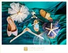 Amy + Michael Step Into The Limelight | The Florida Aquarium | Tampa ...