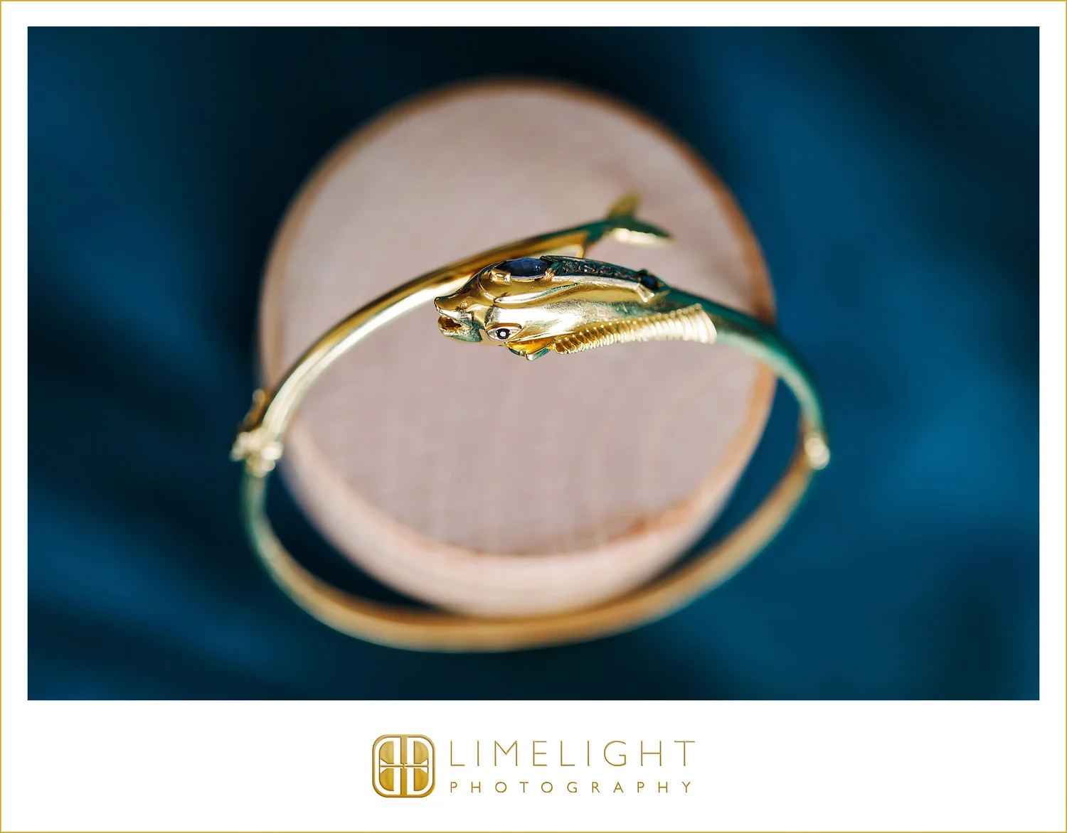 Amy + Michael Step Into The Limelight | The Florida Aquarium | Tampa ...