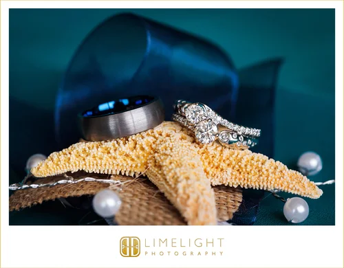 Amy + Michael Step Into The Limelight | The Florida Aquarium | Tampa ...