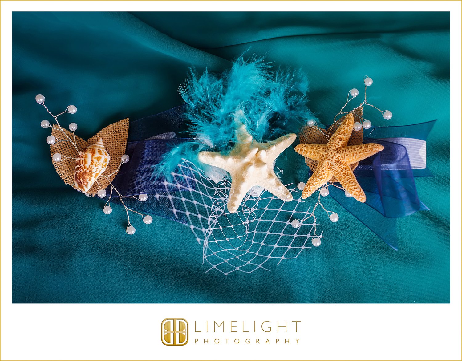 Amy + Michael Step Into The Limelight | The Florida Aquarium | Tampa ...
