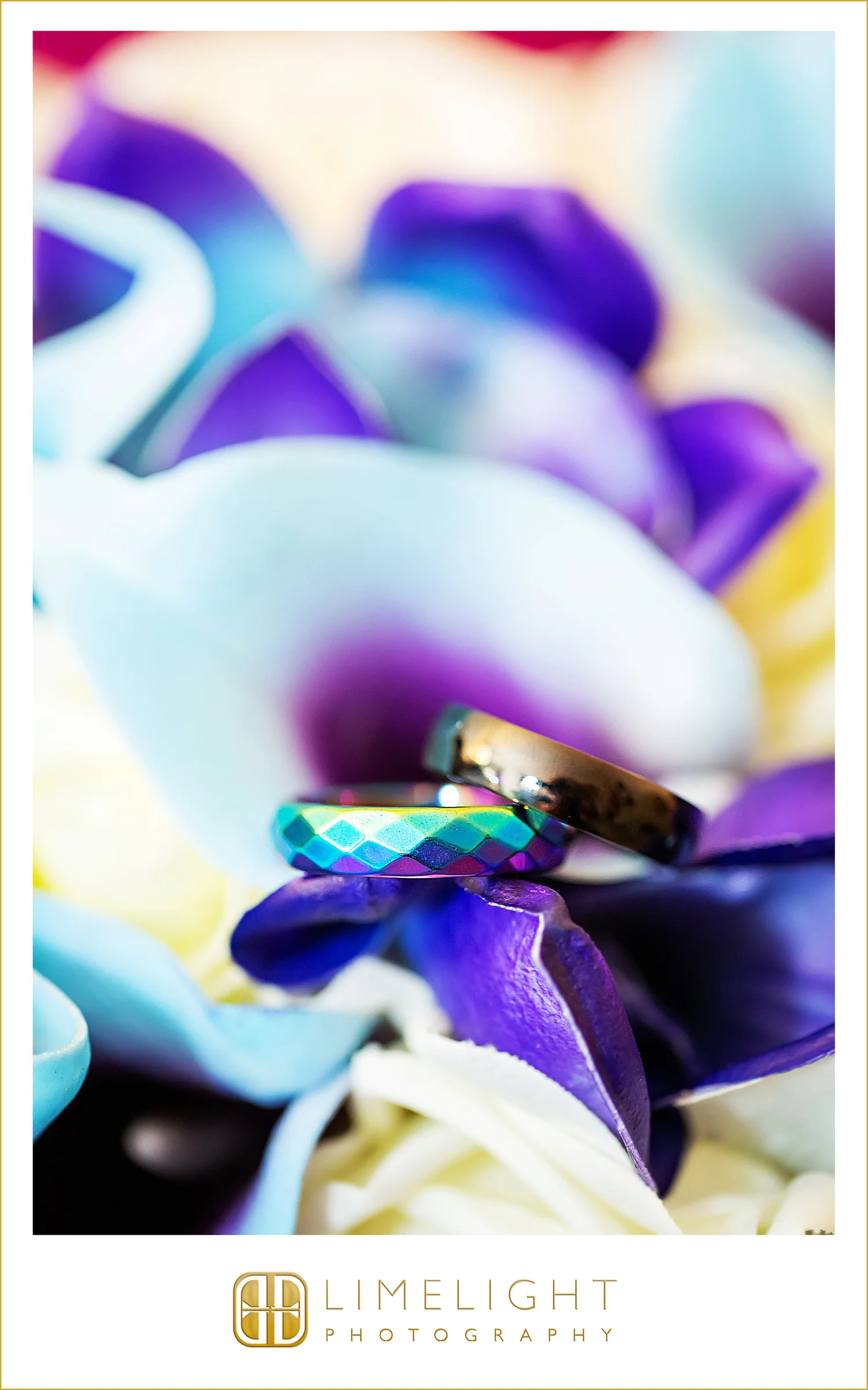 Zai + William Step Into The Limelight | The Florida Aquarium | Tampa ...