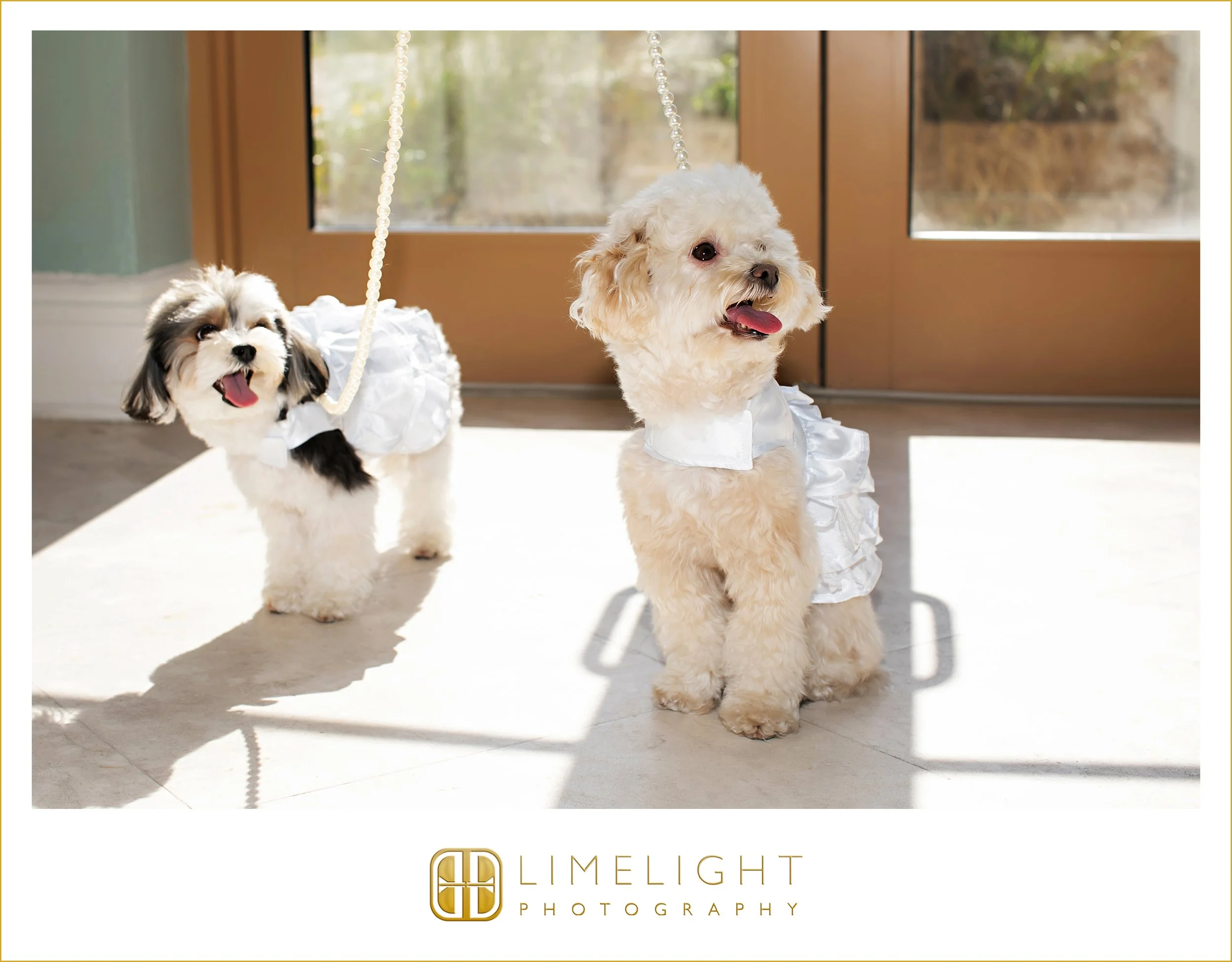 Dominique + Matthew Step Into The Limelight | Sandpearl Resort ...