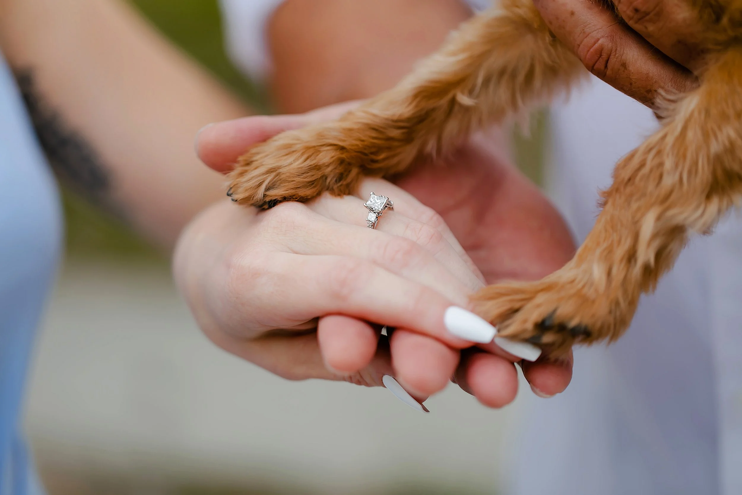 Lauren + Donavan Step Into The Limelight | HILTON CLEARWATER BEACH ...