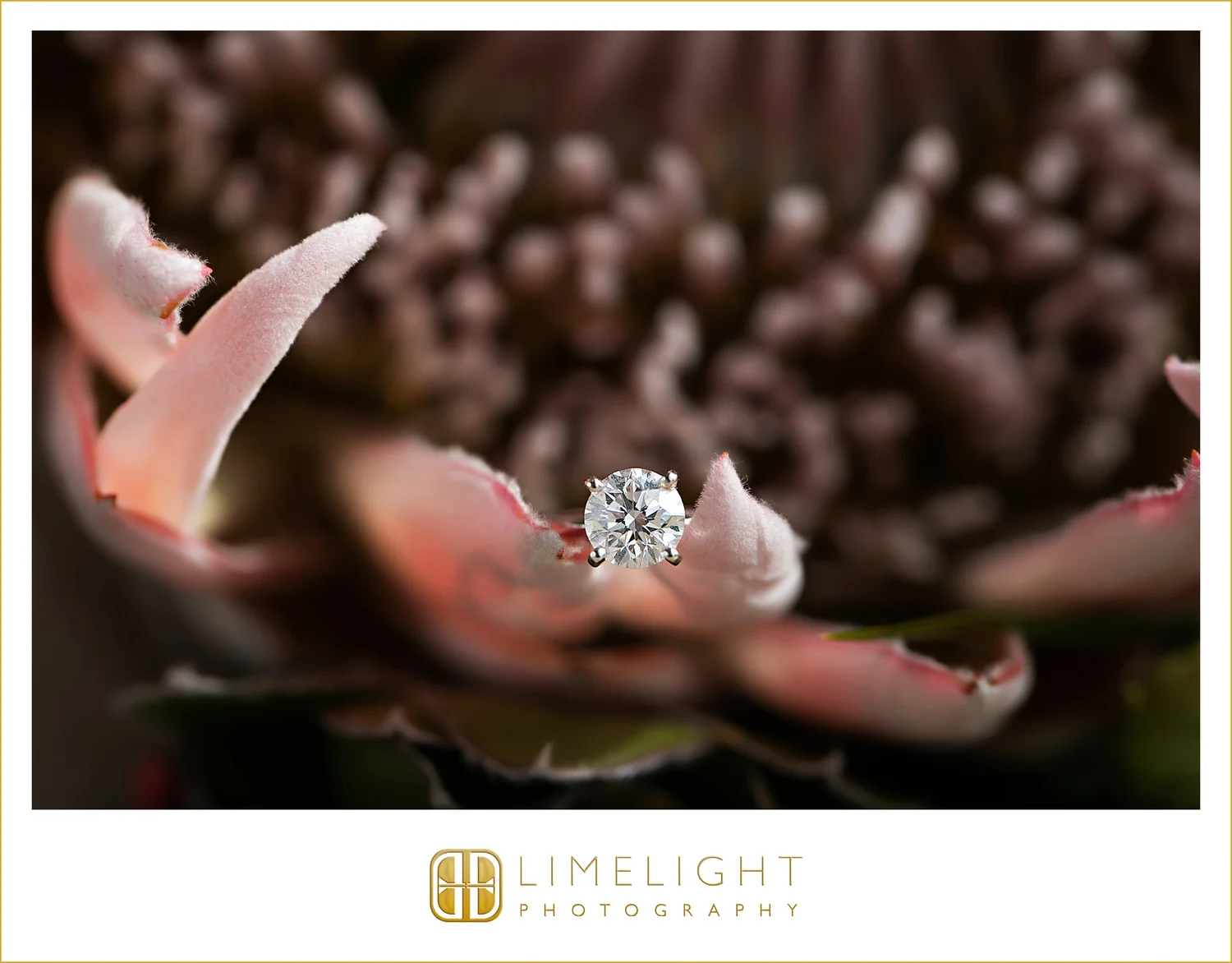Sarah + Sam Step Into The Limelight | HYATT REGENCY CLEARWATER BEACH ...