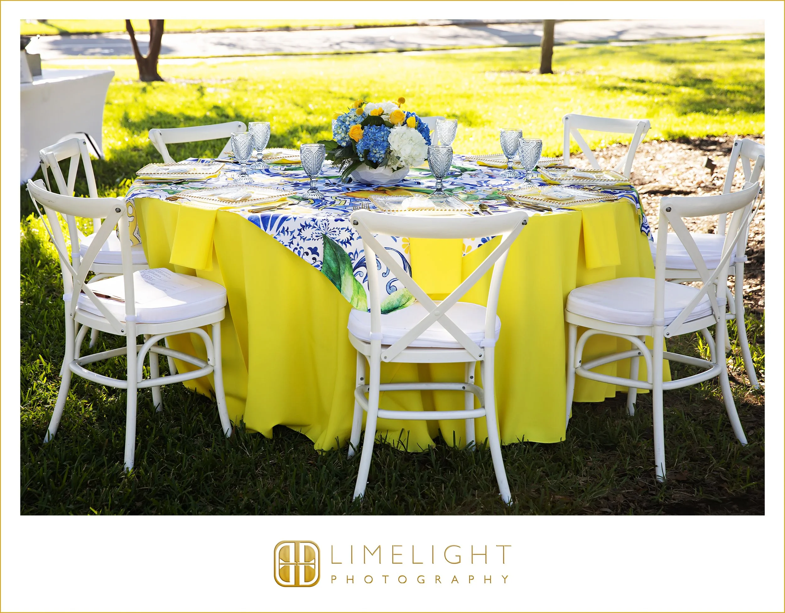 Alisha + Neal Step Into The Limelight | Tampa Garden Club | Tampa, FL ...