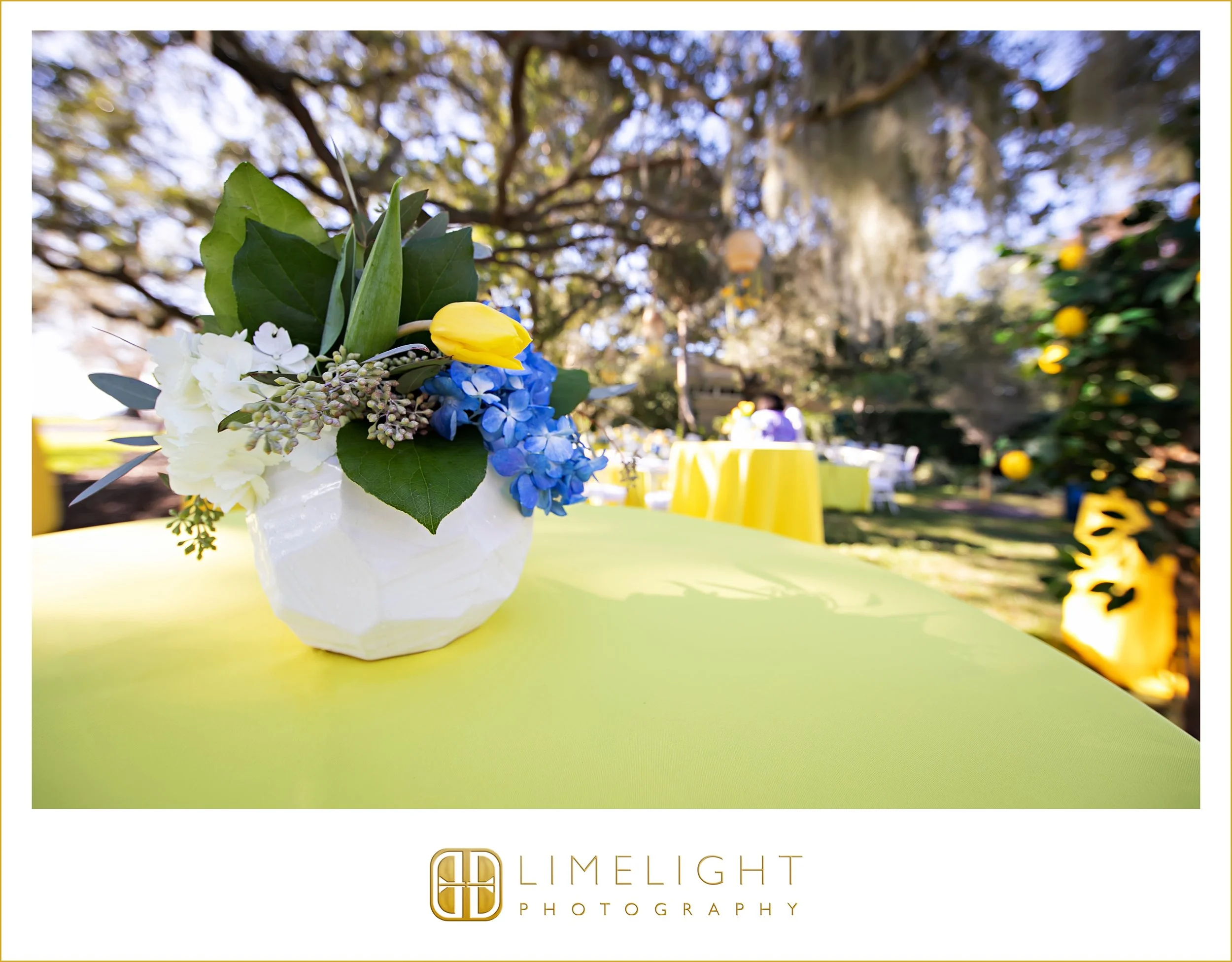Alisha + Neal Step Into The Limelight | Tampa Garden Club | Tampa, FL ...