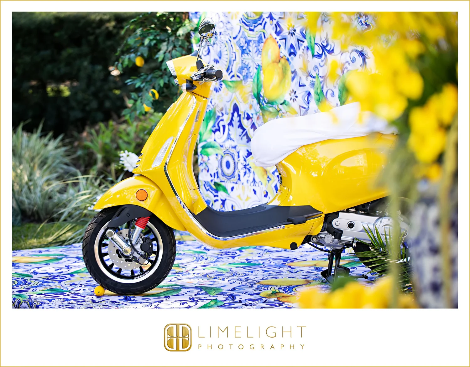 Alisha + Neal Step Into The Limelight | Tampa Garden Club | Tampa, FL ...