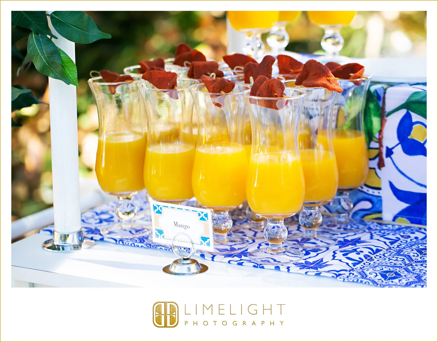 Alisha + Neal Step Into The Limelight | Tampa Garden Club | Tampa, FL ...