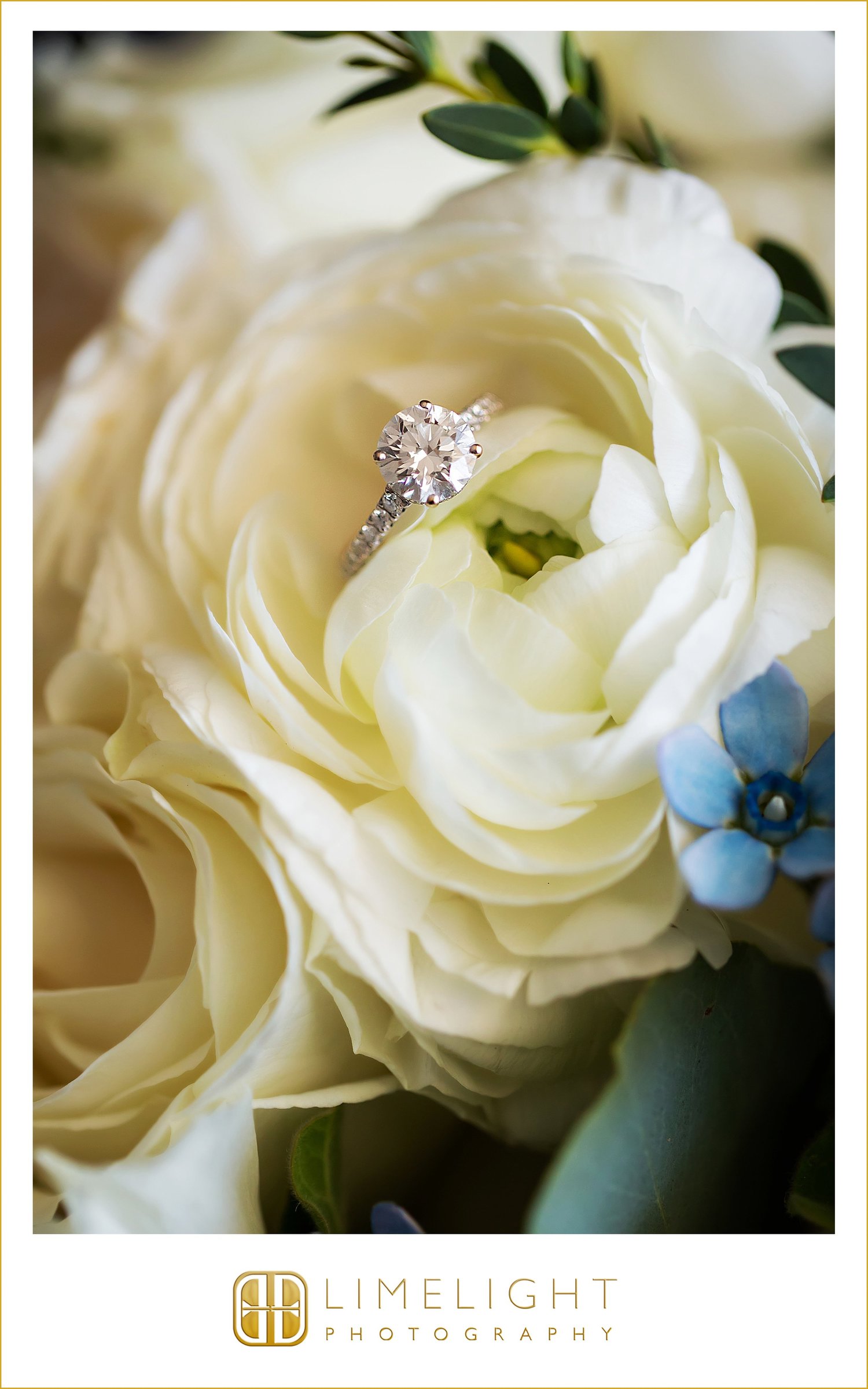 Katie + Mike Step Into The Limelight | The Resort at Longboat Key Club ...