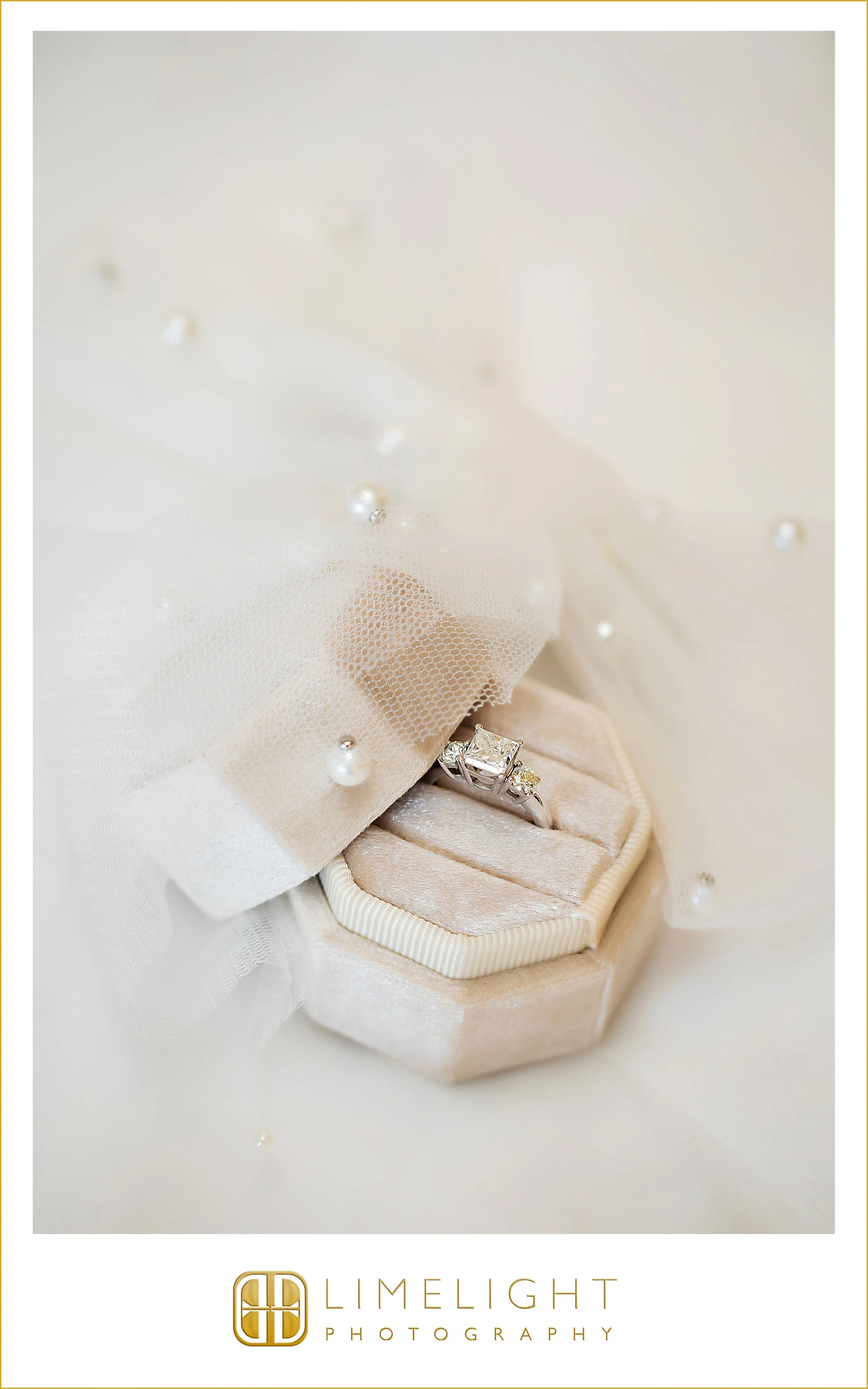 Angie + Garrett Step Into The Limelight | Hotel Zamora | St. Petersburg ...
