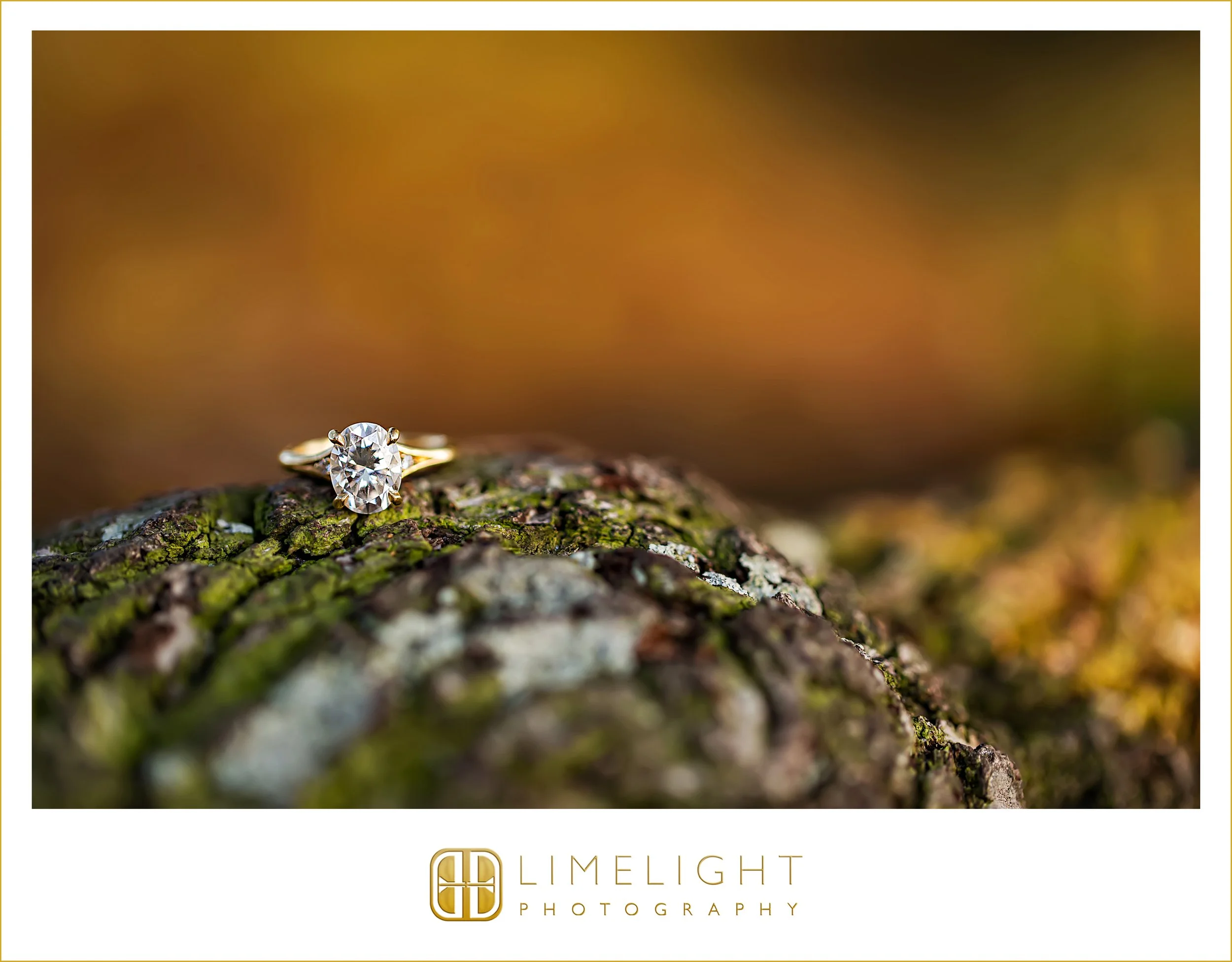 Rebecca + Adam Step Into The Limelight | Downtown, Tampa FL — LIMELIGHT ...