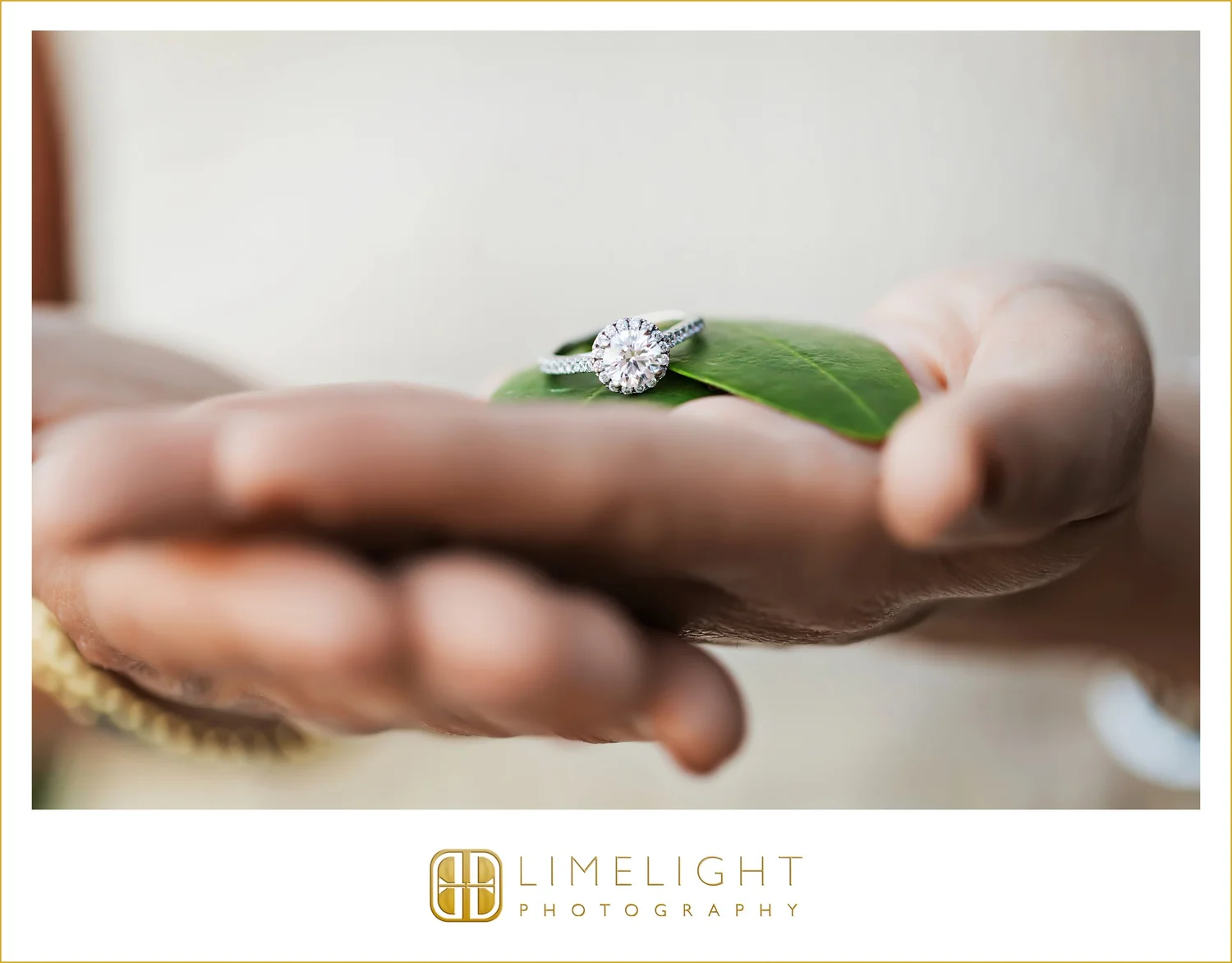 Denise + Jay Step Into The Limelight | Philippe Park | Safety Harbor ...