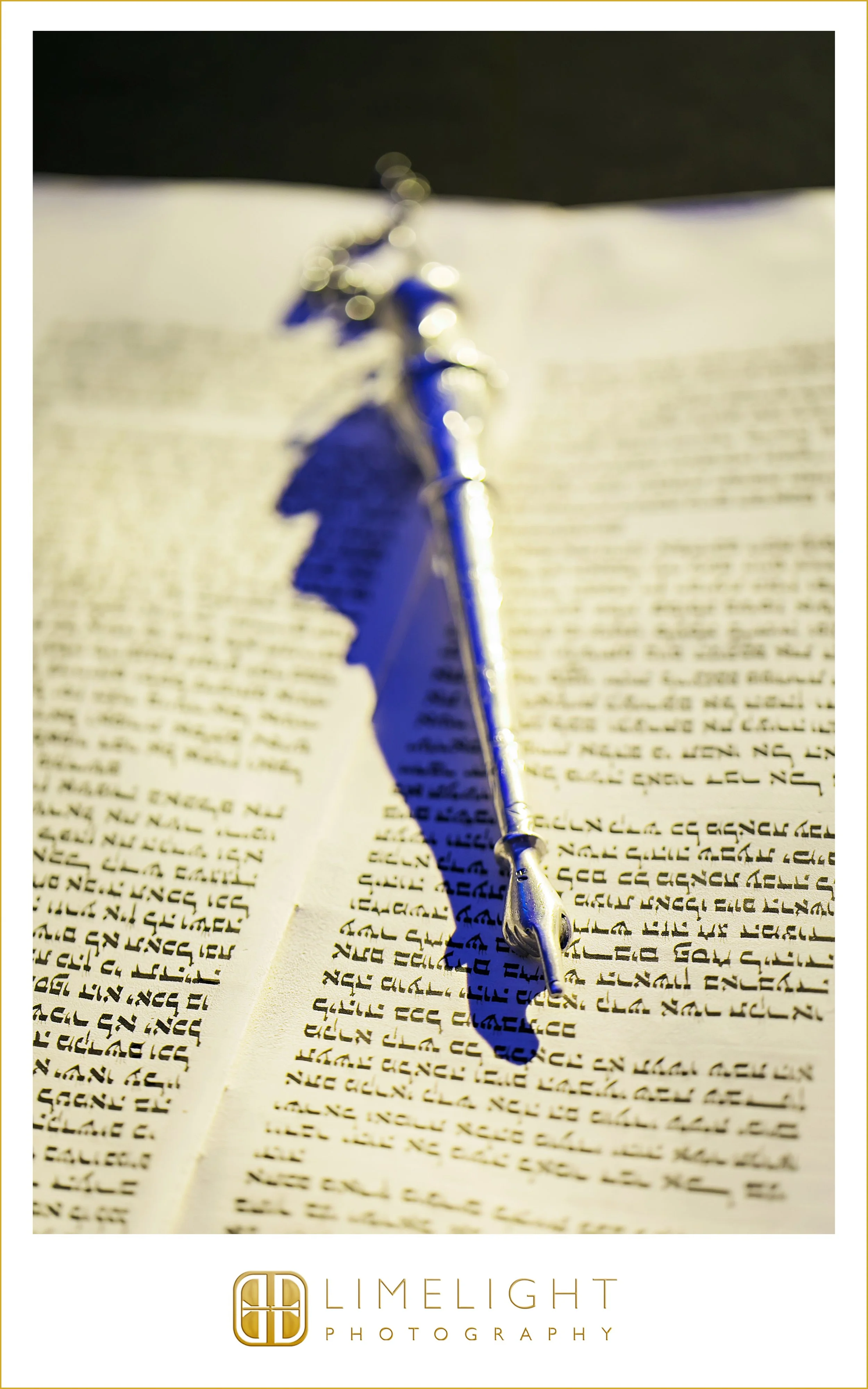 Dean Steps Into The Limelight | Bar Mitzvah | Art Ovation | Sarasota ...