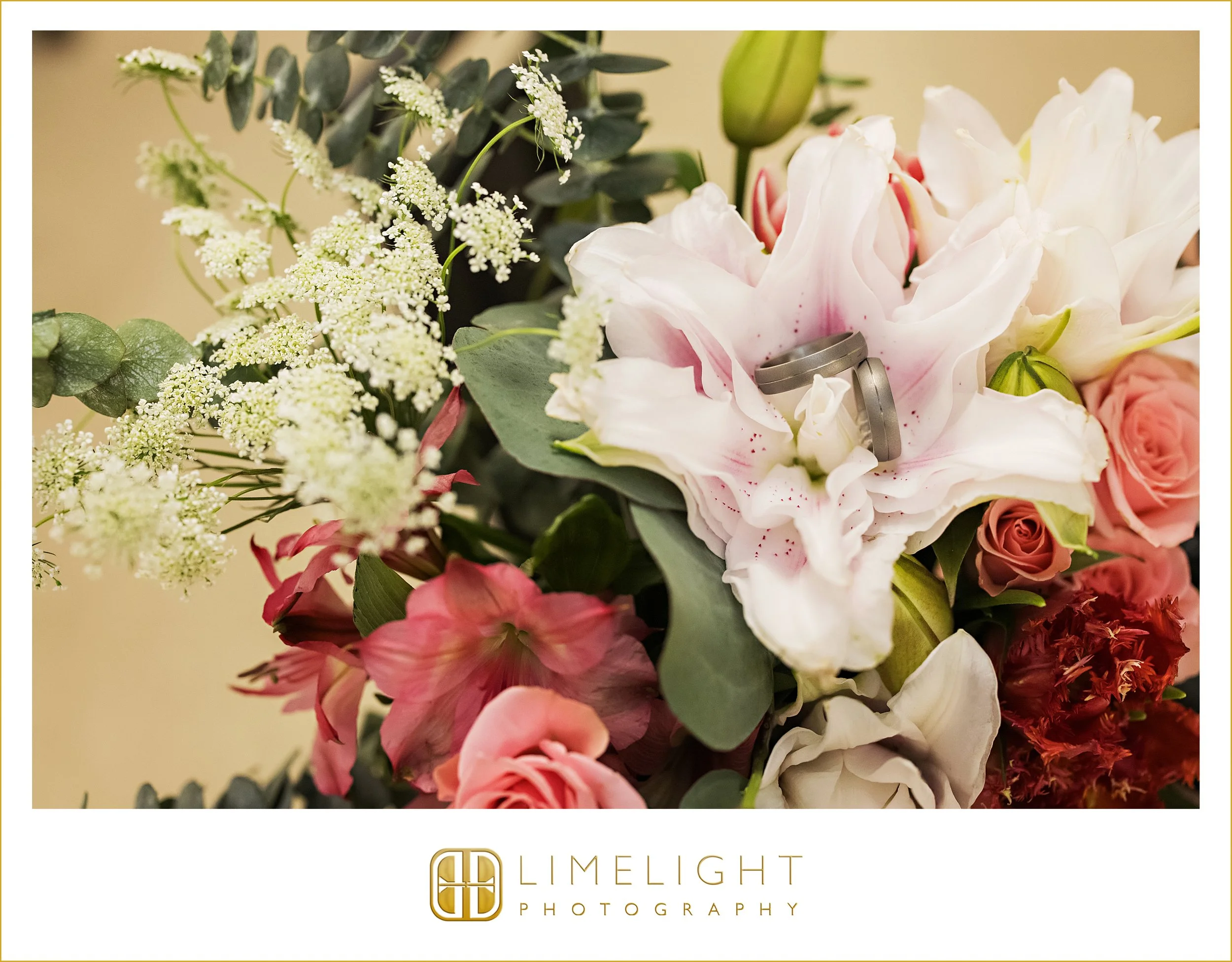 Kate + Dan Step Into The Limelight | Sunken Gardens | St. Pete, FL ...
